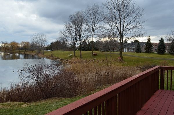 Brighton Town Park | Brighton, NY - Official Website